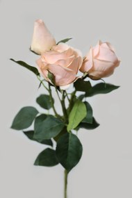 Meruňková umělá tříkvětá růže 73cm