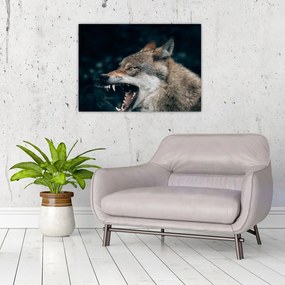 Skleněný obraz vlka (70x50 cm)