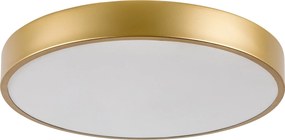 Rabalux Zlaté stropní LED svítidlo Tesia 400mm 36W 71037