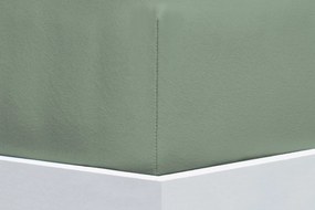 Florella Prostěradlo Avance Jersey 45 Pfau, 140-160x200 cm