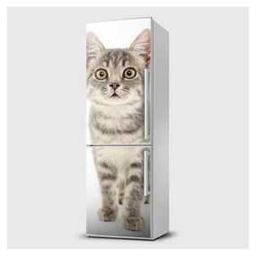 E-shop24, Pi51SL851, Rozměr 65x180 cm, Fototapeta samolepící na lednice - Kočka