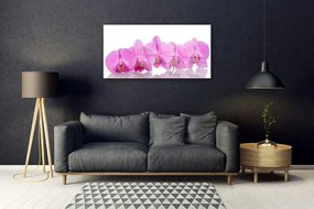 Plexisklo-obraz Růžová Orchidej Květiny 100x50 cm