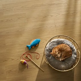 Vinylová plovoucí podlaha Afirmax Legnar Acoustic 43042 Dub Sora 2,235 m²