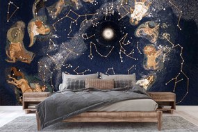 Malvis ® Tapeta Zodiac Vel. (šířka x výška): 216 x 140 cm