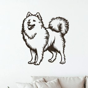 dřevo života Dřevěný obraz psa SAMOJED Zvolte rozměr (cm): 36x40, Zvolte barvu dekoru: Wenge
