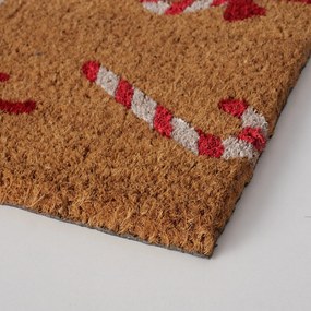 Rohožka ke dveřím CANDY, 60 cm