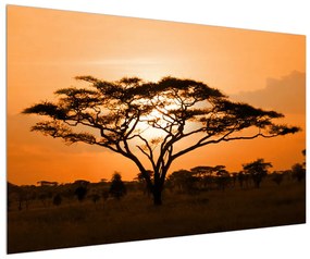 Obraz africké savany (120x80 cm)