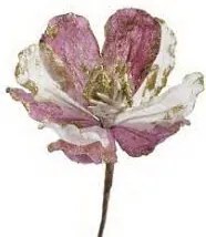 glitter magnólie z organzy - bílá/růžová orchid + zlatý glitter