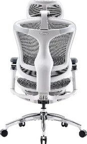 Sihoo DORO-C300-PRO bílá / Kancelářská židle / síťovina