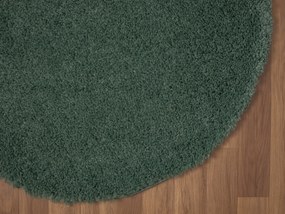 My Flair, AKCE: 150x150 (průměr) kruh cm Kusový koberec My Shaggy hellgrün kruh, zelená, chodba / předsíň
