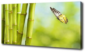 Wallmuralia Foto obraz na plátně Bambus a motýl 100x50