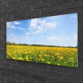 Obraz na skle Pampeliška Krajina 120x60 cm