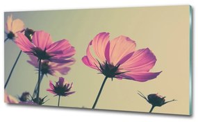 Wallmuralia Foto obraz sklo tvrzené Růžové květiny 100x50