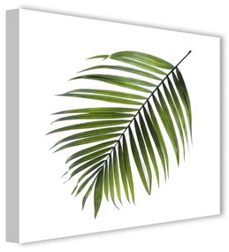 Obraz Styler Canvas Greenery Black Palm, 32 x 32 cm