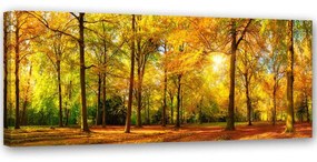 Gario Obraz na plátně Zlatý les Rozměry: 90 x 30 cm