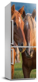 Wallmuralia Nálepka fototapeta lednička Koně 60x180 cm