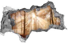 Wallmuralia Díra 3D ve zdi nálepka Mlha v lese podzim 95x73 cm