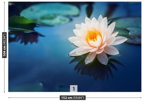 Fototapeta Lotosový květ 104x70