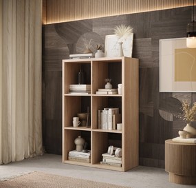 ADRK Furniture Regál Cleo IV BS-CLE-IV-S