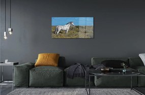Obraz na skle Unicorn Golf 125x50 cm