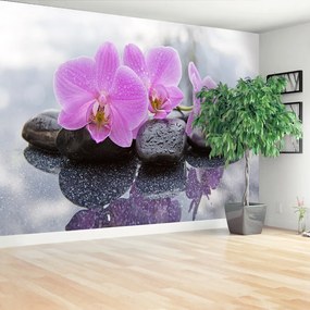 Fototapeta Orchidejové kameny