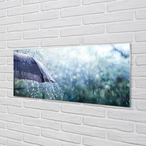 akrylový obraz Umbrella dešťové kapky 120x60 cm