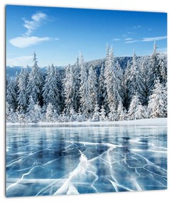 Obraz zamrzlého jezera a zasněžených stromů (30x30 cm)