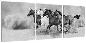 Obraz cválajících koňů