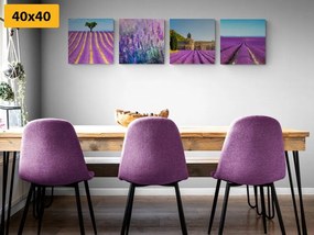 Set obrazů levandulové pole - 4x 40x40 cm