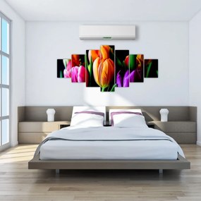 Obraz tulipánů na černém pozadí (210x100 cm)