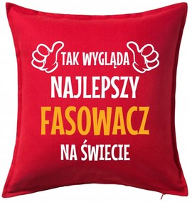 IKEA NEJLEPŠÍ FASOVNÍK NA SVĚTĚ polštář dárek