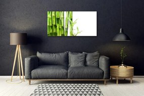 Obraz na skle Bambus Rostlina 120x60 cm
