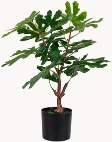 Umělá rostlina Fig