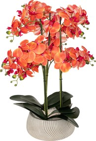 Umělá orchidej SANAE v květináči, 65 cm