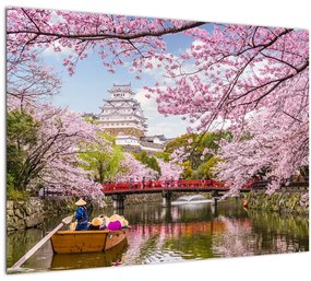 Skleněný obraz japonské třešně (70x50 cm)