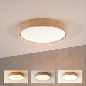 BRILAGI - LED Stm stropní svítidlo MANAROLA SMART LED/24W/230V pr. 41 cm + DO