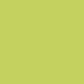 Ceramika Paradyz Obklad světle zelený matný GAMMA MAT 19,8x19,8 (Seledynowa) Světle Zelená - 147051