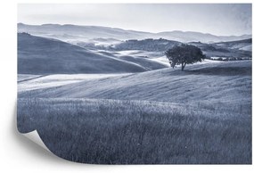 Fototapeta Rolling Hills Vybledlé Vintage V Modrém Hladký vinyl 135x90