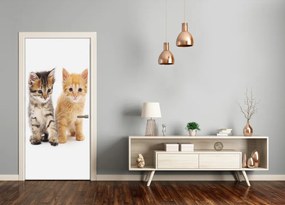 Samolepící fototapeta na dveře Šedá a rudá kočka 95x205 cm