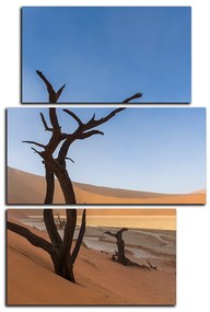 Obraz na plátně - Mrtvý strom v dunách - obdélník 7130C (105x70 cm)