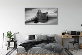 akrylový obraz Kočka pod přikrývkou 140x70 cm