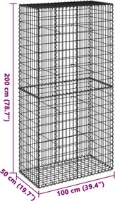 Gabionový koš s víkem 100 x 50 x 200 cm pozinkované železo 3295166