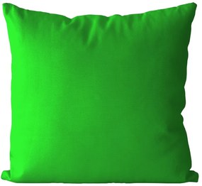 Polštář Zelený (Velikost: 40 x 40 cm)