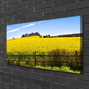 Obraz na plátně Pole Rostlina Krajina 100x50 cm