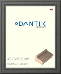 DANTIK rámeček 40x50 | STEP tmavěšedá (Plexi Čiré)