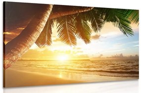 Obraz východ slunce na karibské pláži Varianta: 90x60