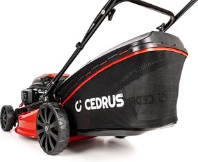 Hahn & Sohn Cedrus Benzínová sekačka Cedrus KS48 HP13079