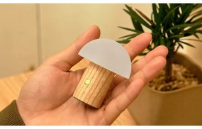 LED stmívatelná stolní lampa z jasanového dřeva v přírodní barvě (výška 7 cm) Alice – Gingko