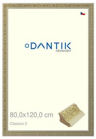 DANTIK rámeček 80x120 | Claico 3 (Plexi Čiré)