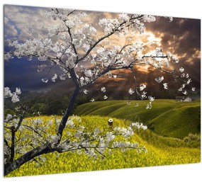 Skleněný obraz - Rozkvetlý strom v krajině (70x50 cm)